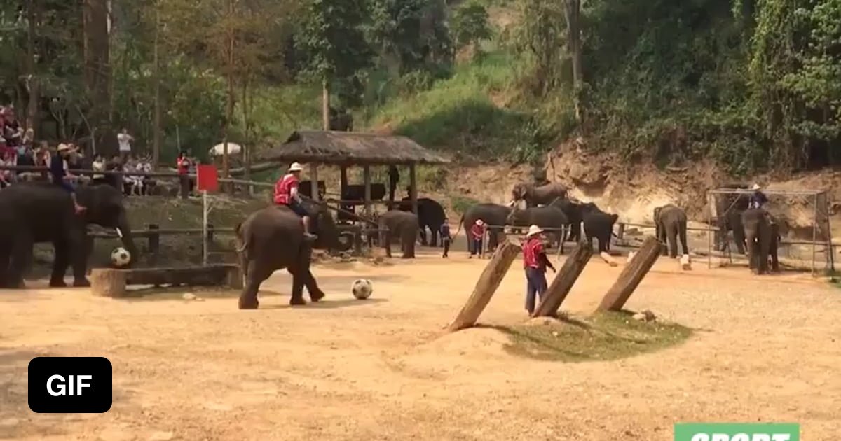 Goooooooooool! - 9GAG