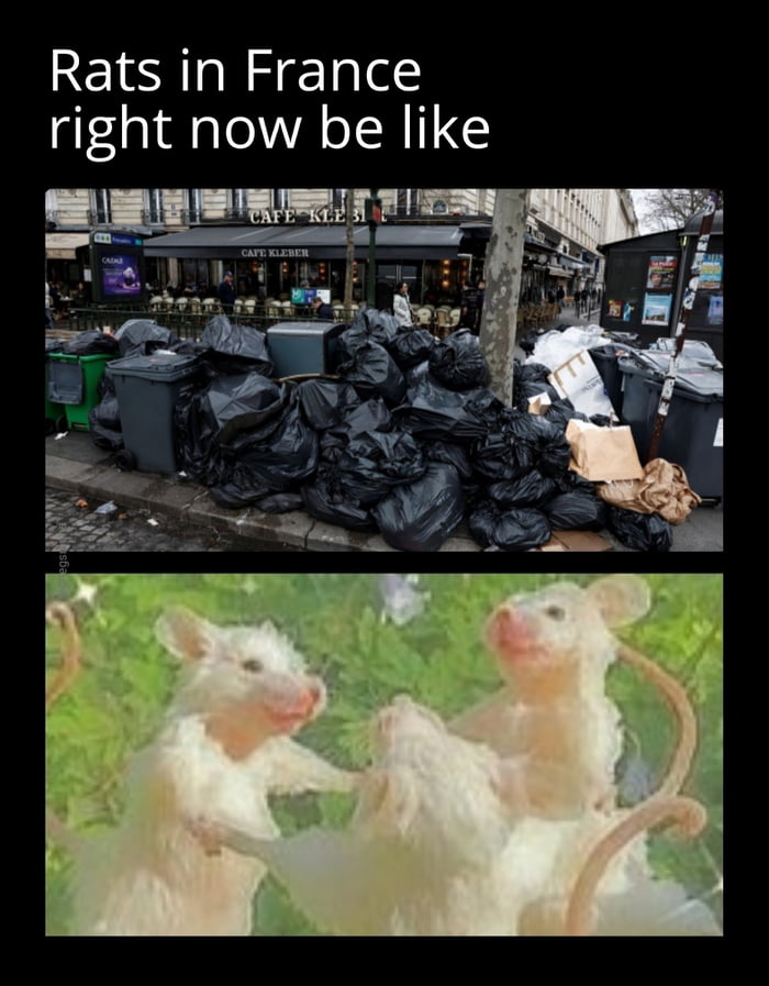 Praise the rat god, I guess. - 9GAG