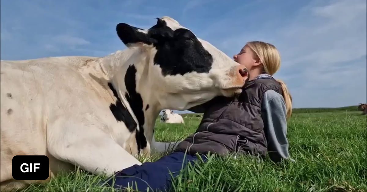 Draw me like one of your French cows - 9GAG