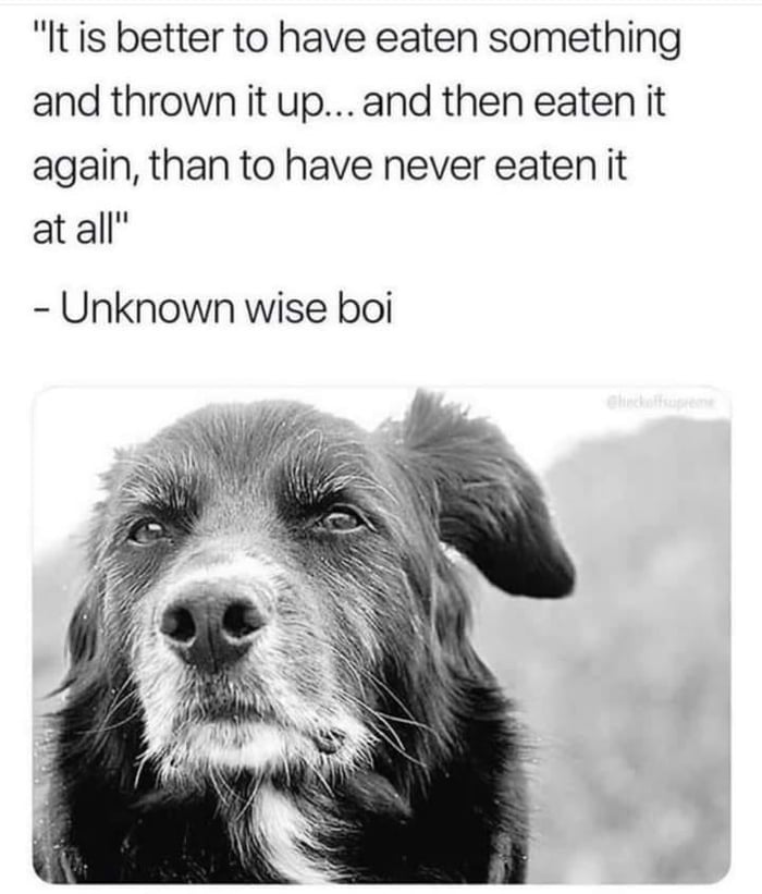 Wise boi - 9GAG