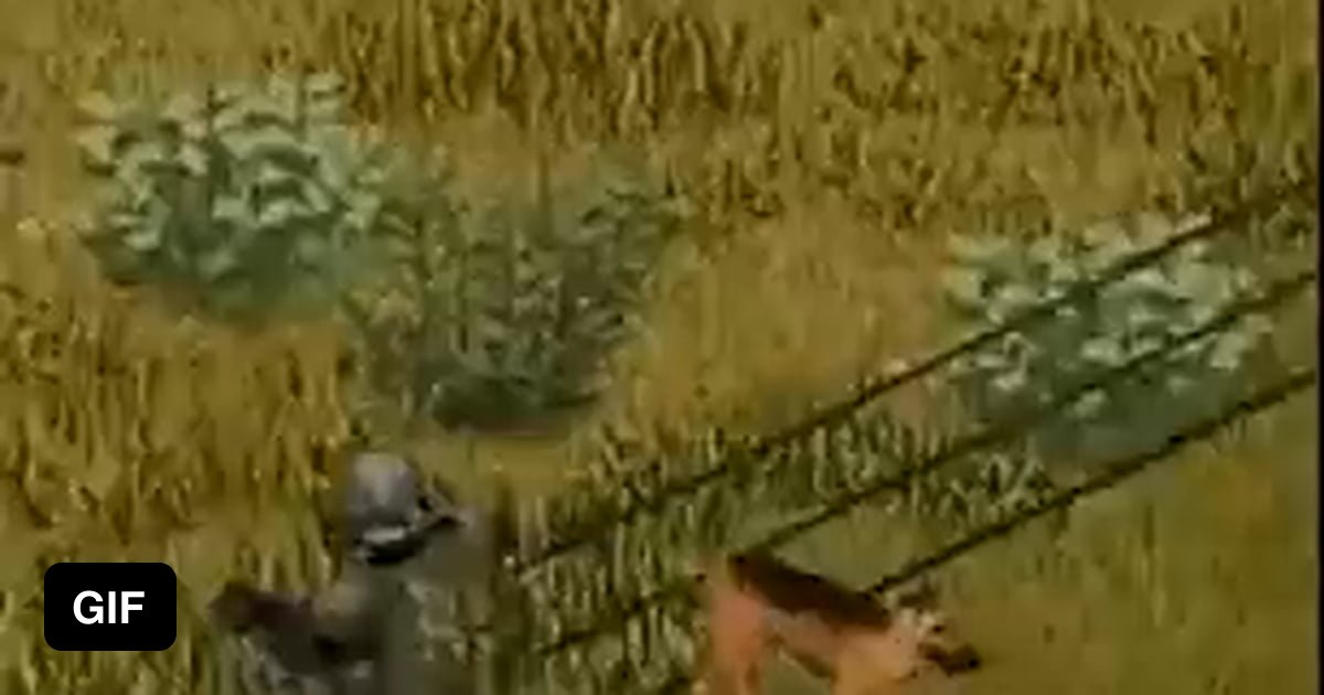 Nothing weird to see here. Just a solder and his dog - 9GAG