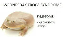 Emergency ... No frog in the sight. Lost some pixels on the way. - 9GAG