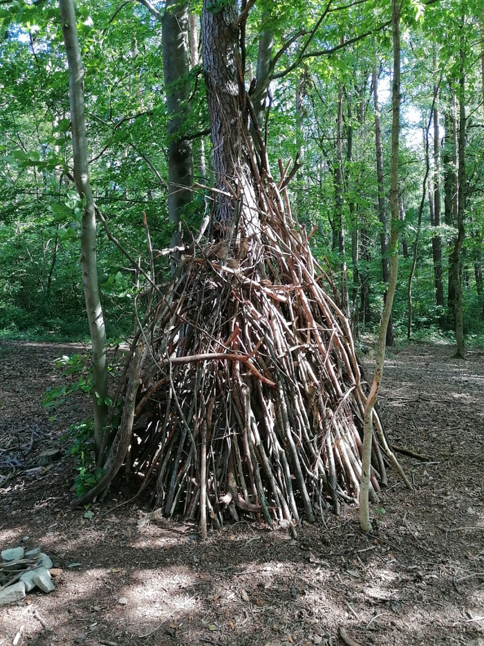 Behold, stick's, the gathering. Local playground in the woods - 9GAG