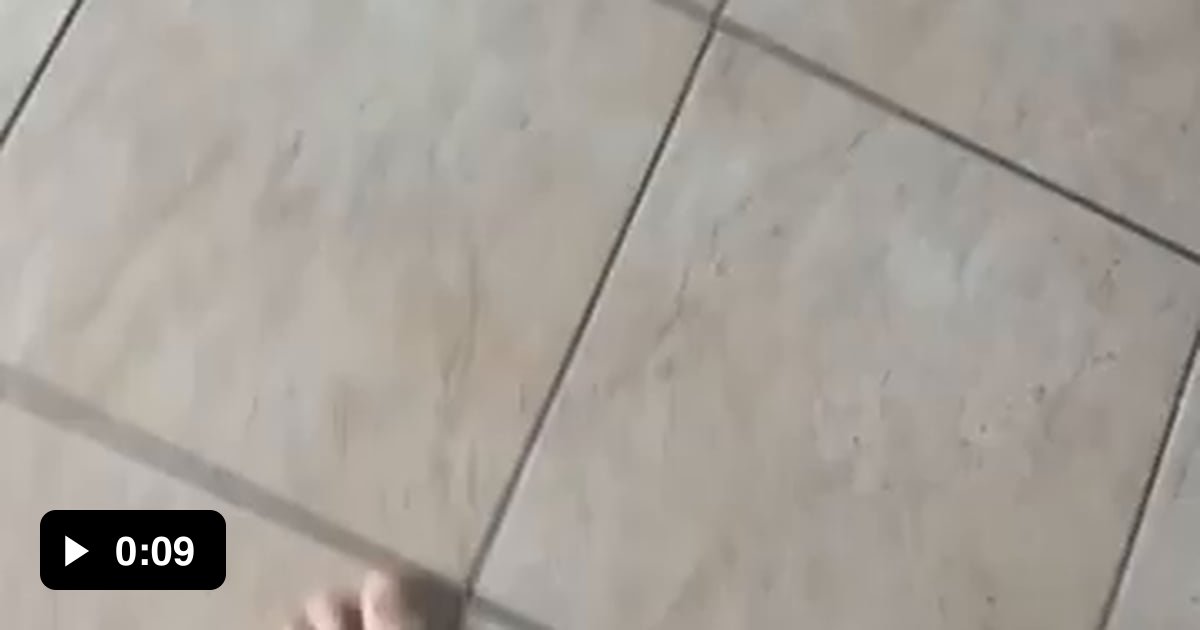 Everyone, meet Boo. - 9GAG