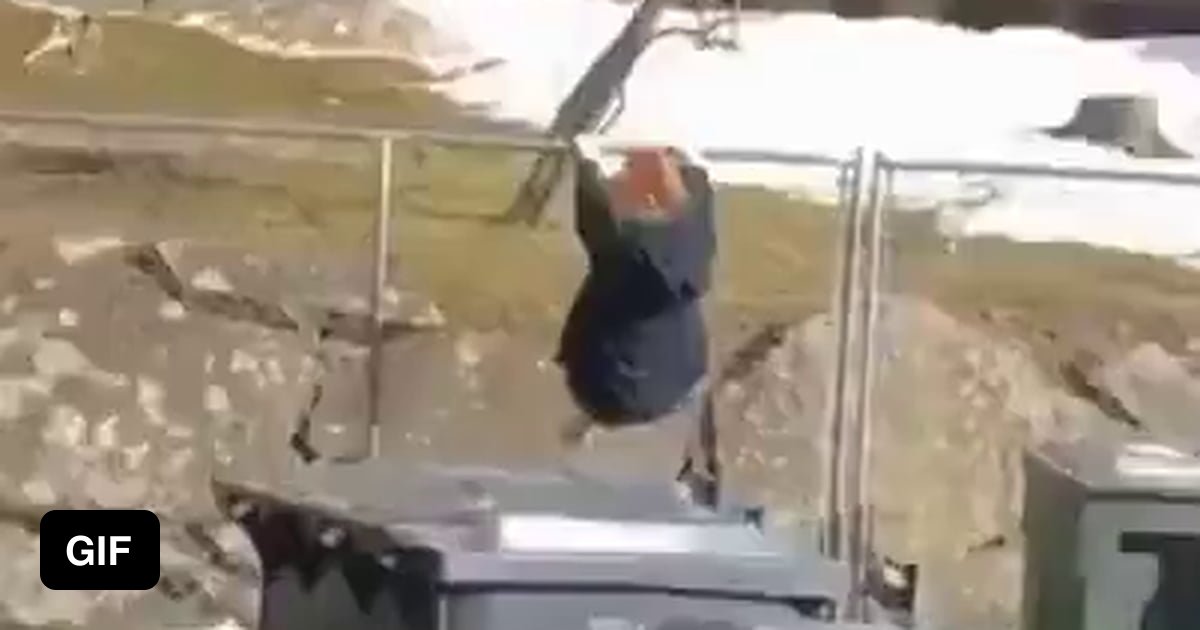 Atleast she tried! - 9GAG