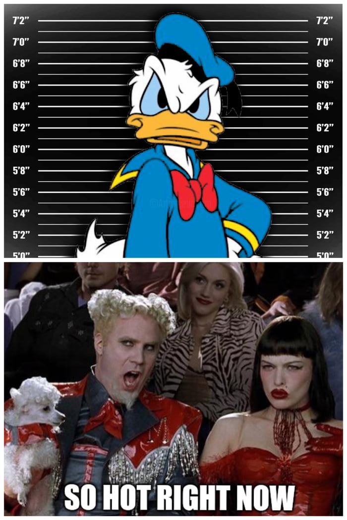 Donald mugshot - 9GAG