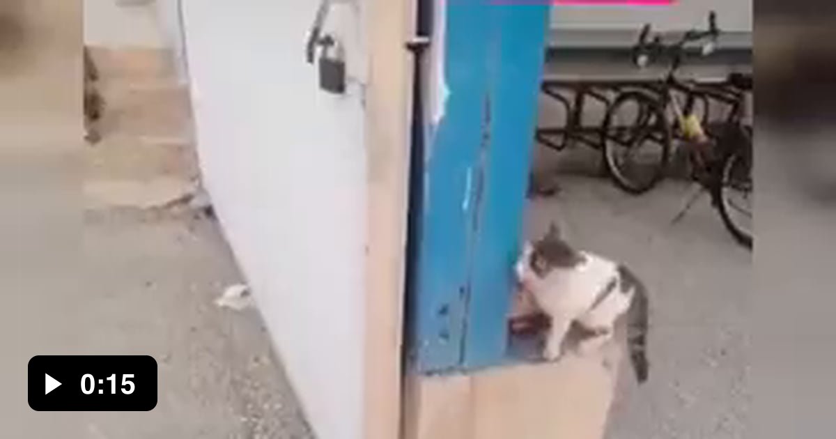 Incredible attack - 9GAG