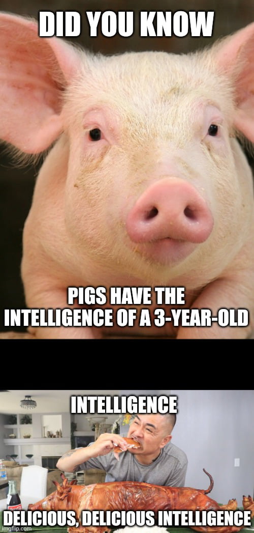 Muslims are missing out lol - 9GAG