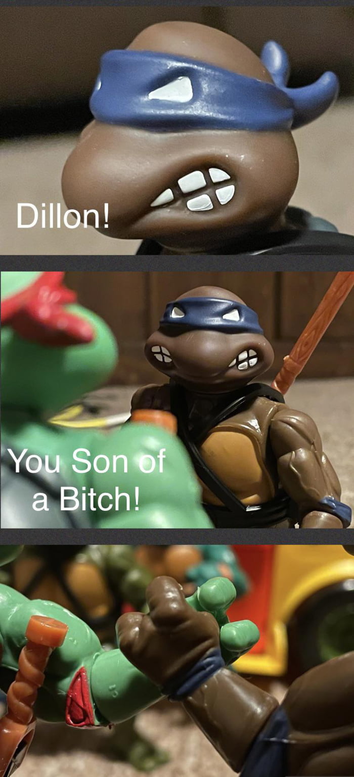 Predator recast as TMNT - 9GAG