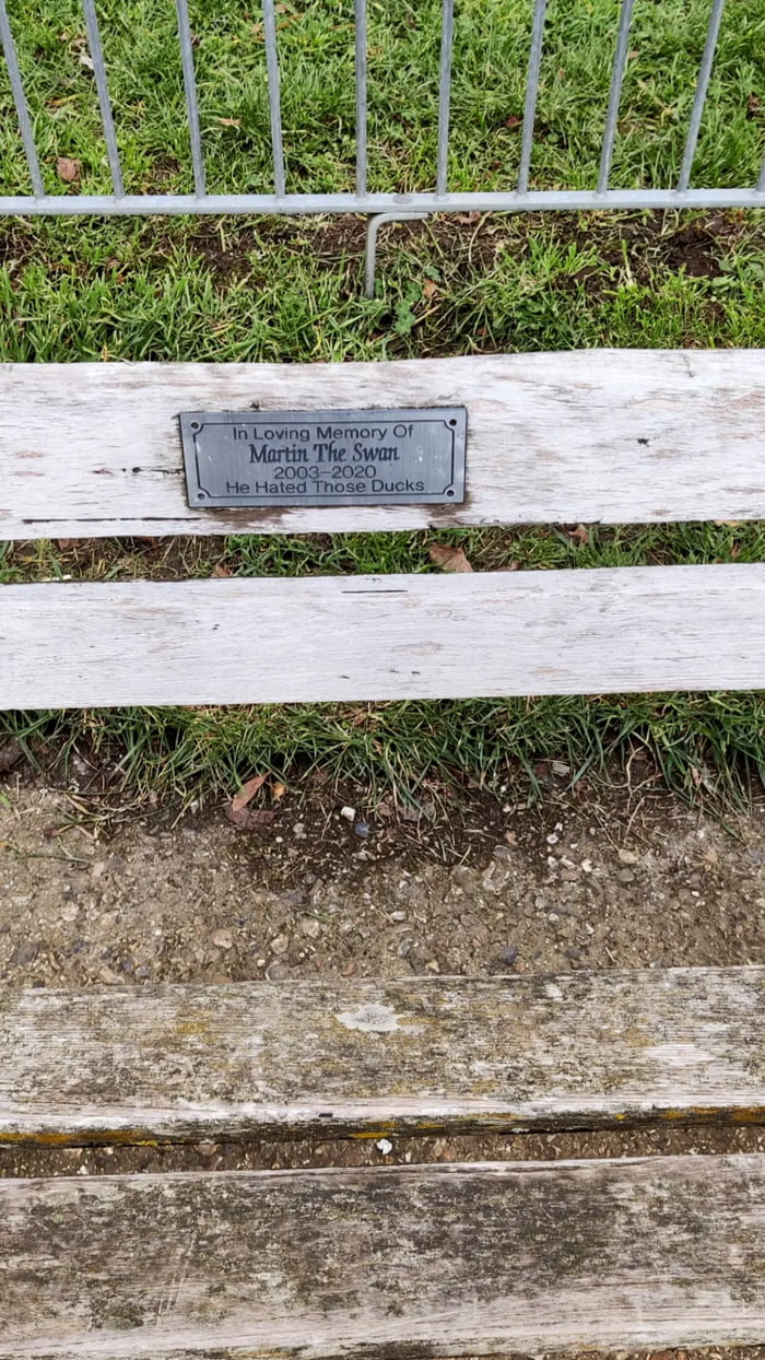 This bench at the park - 9GAG