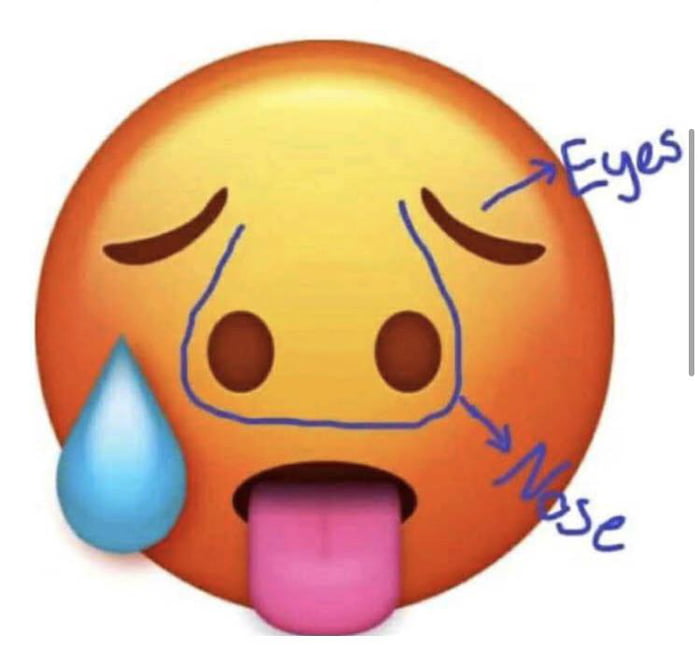 Emoji the BEEG sniffer - 9GAG