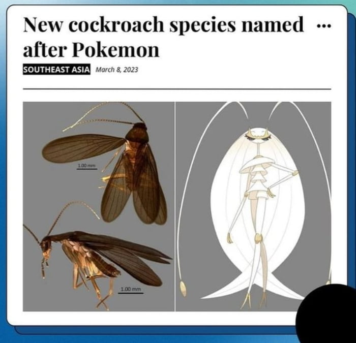 Cockroach-like Pokemon - 9GAG