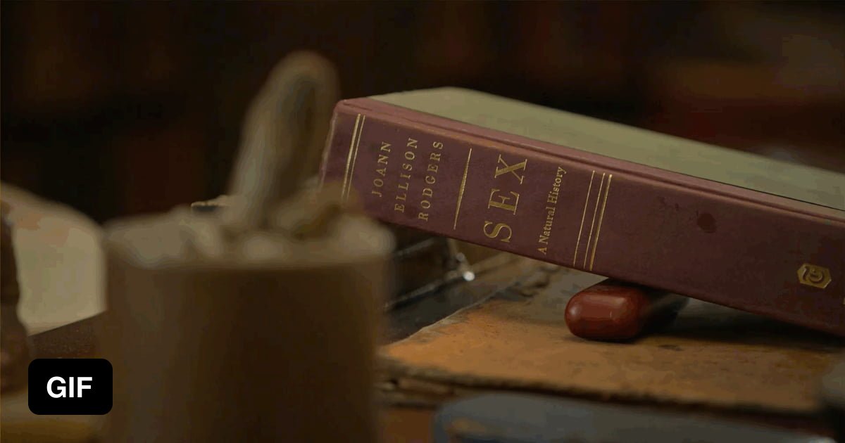 This little sight gag from History of The World Part II - 9GAG