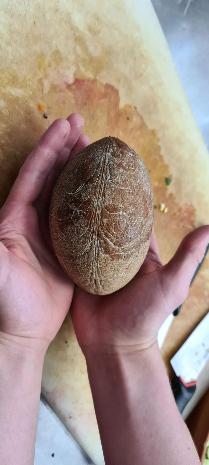 This perfectly "peeled" coconut - 9GAG