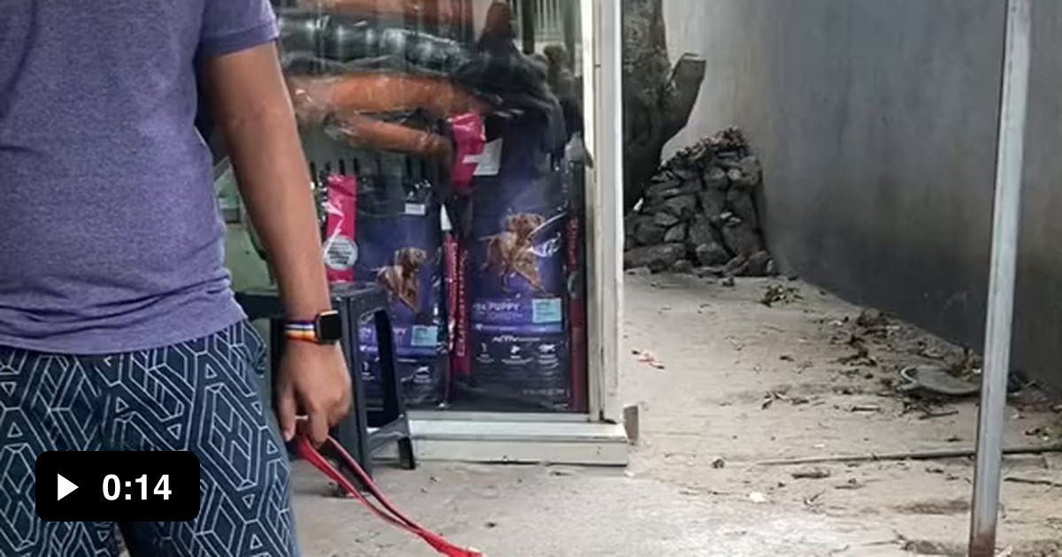 Cat's not meowing it punch you in the face with it's paws - 9GAG