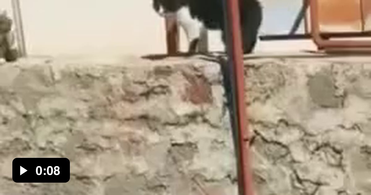 Menacing approach - 9GAG