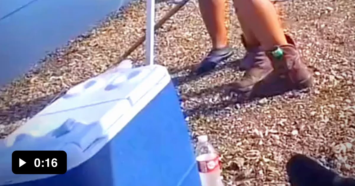 I’d rather be fishing - 9GAG