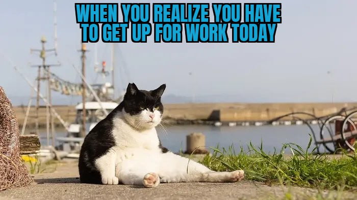 It's Friday and you just need to get through this day and then its the ...