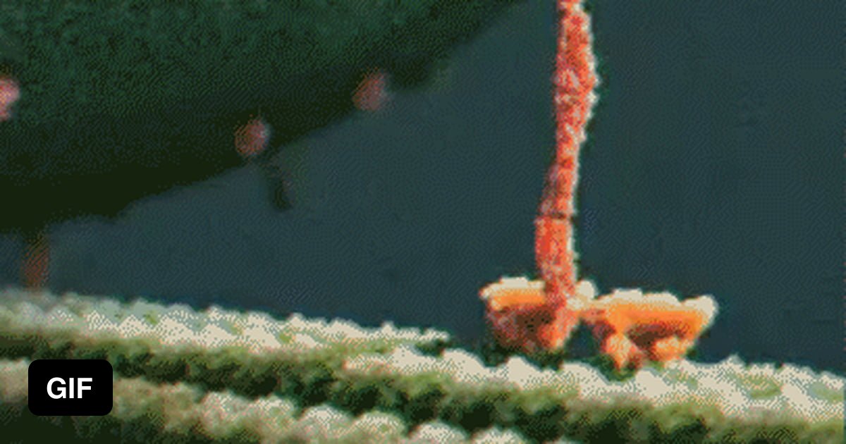 I've heard you guys like tiny tippy taps? - 9GAG