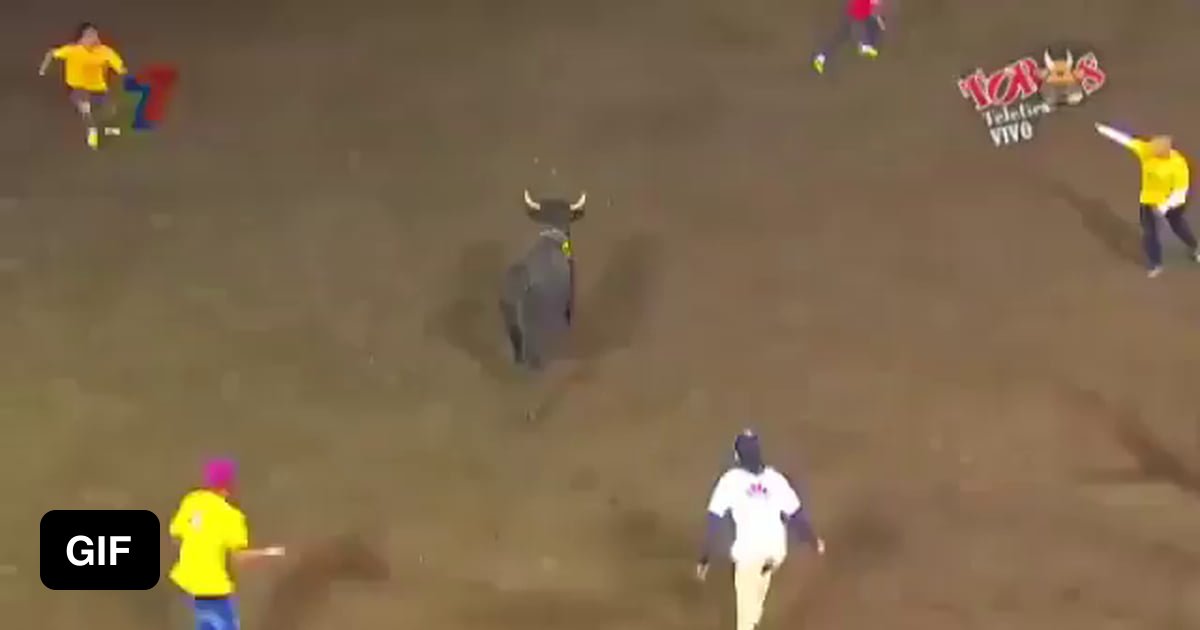 Bull shiiiiiiiit! - 9GAG