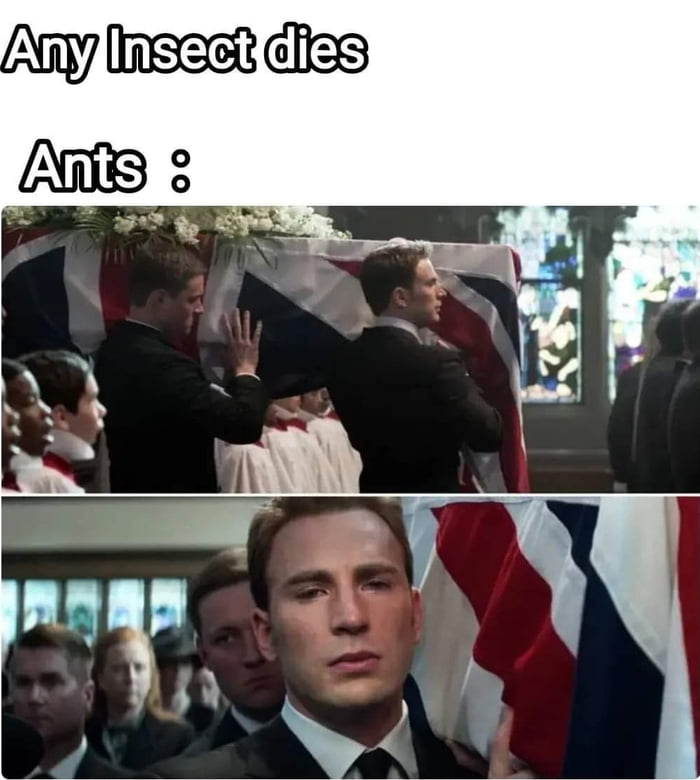 Tiny lil Undertakers !!! - 9GAG