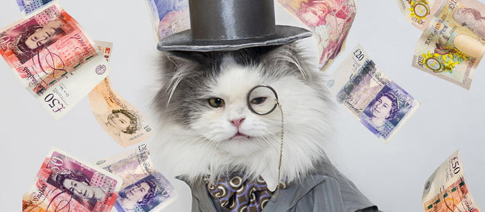 Happy Fat Cat Day (CEOs have earned as much to this day as a normal ...