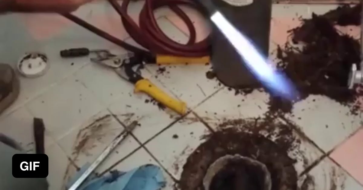 Plumber shits his pants - 9GAG