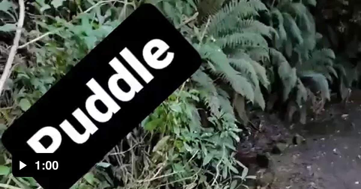 Do not the puddle? - 9GAG