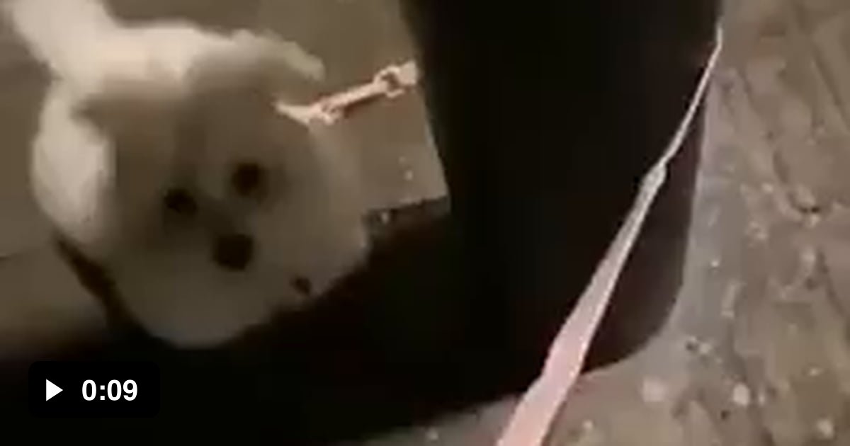 Too difficult a task - 9GAG