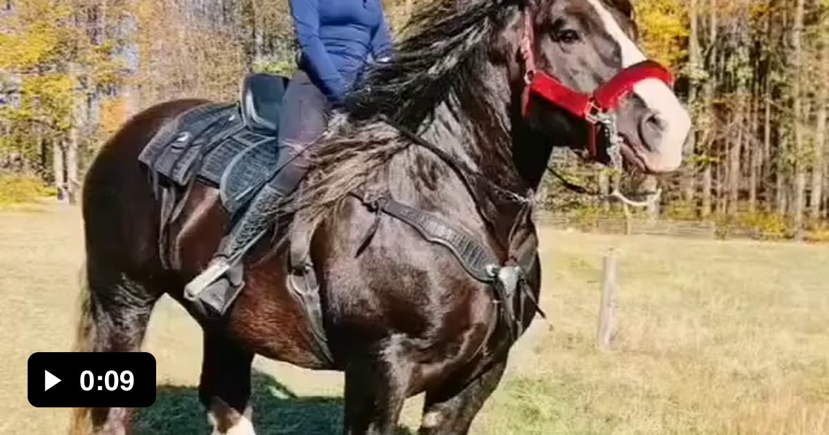 Christopher Reeves broke his neck from a horse stomp. What if this was ...