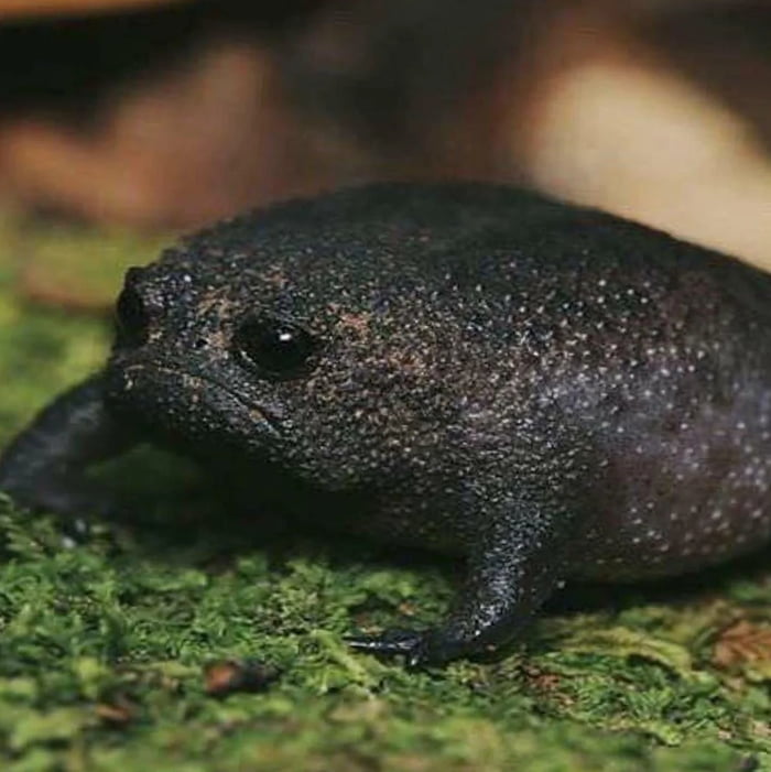 It is Wednesday.. a sad one, but a Wednesday, alright.. - 9GAG