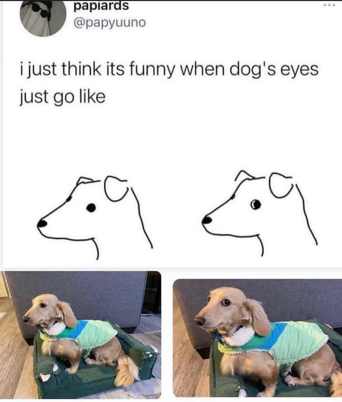 Eyes over here buddy - 9GAG