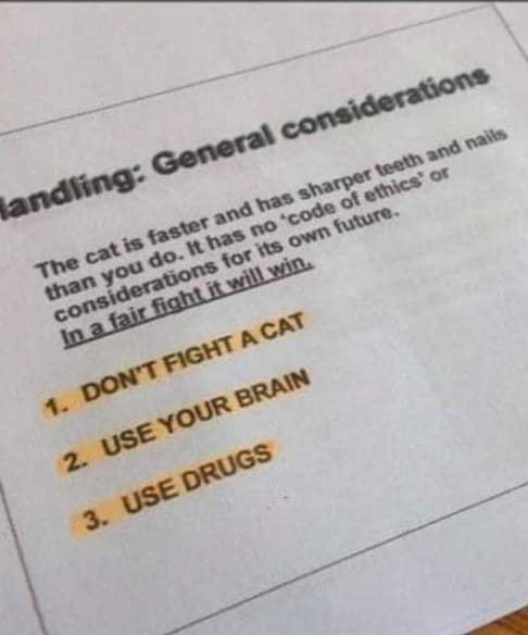 So basically do not the cat - 9GAG