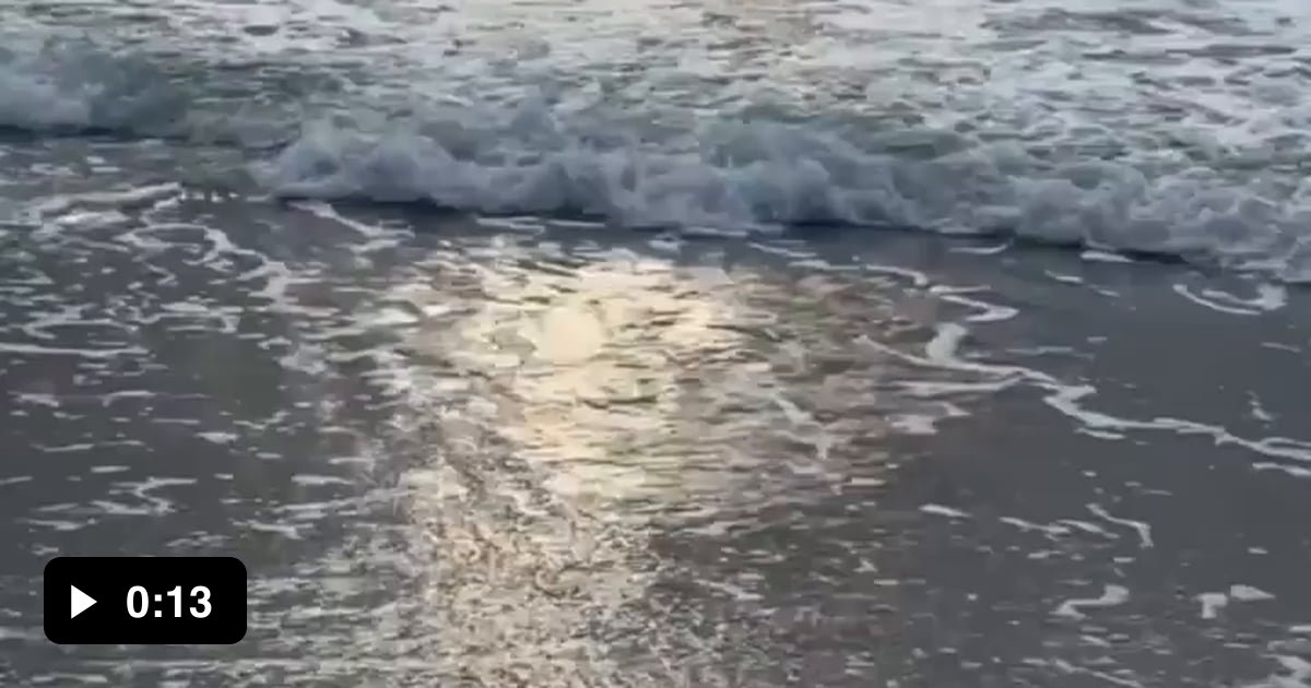 Damn..luffy IrL (one piece) - 9GAG