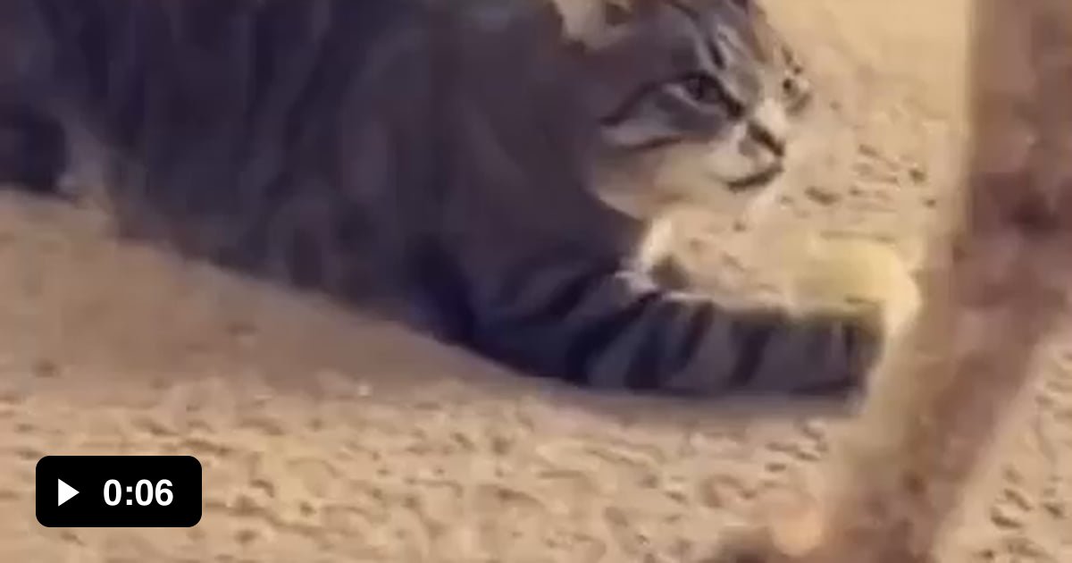 It's repost. i just added something. - 9GAG