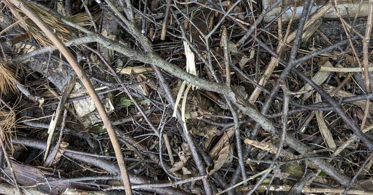 Dirty, trashy, filthy sticks. Nsfw.. - 9GAG