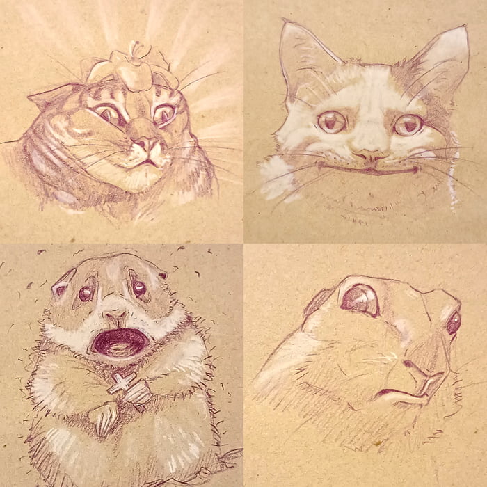 Decided to practice my drawing skills on some memes, what meme should I ...