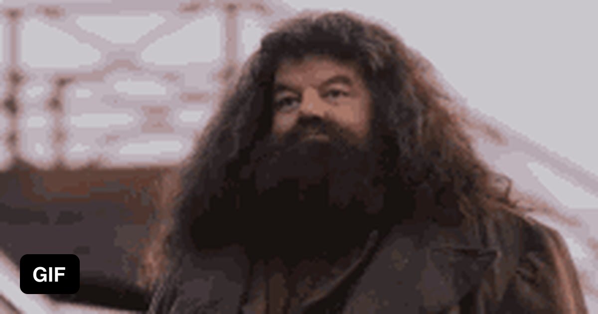 Robbie Coltrane passed away. RIP Hagrid. - 9GAG
