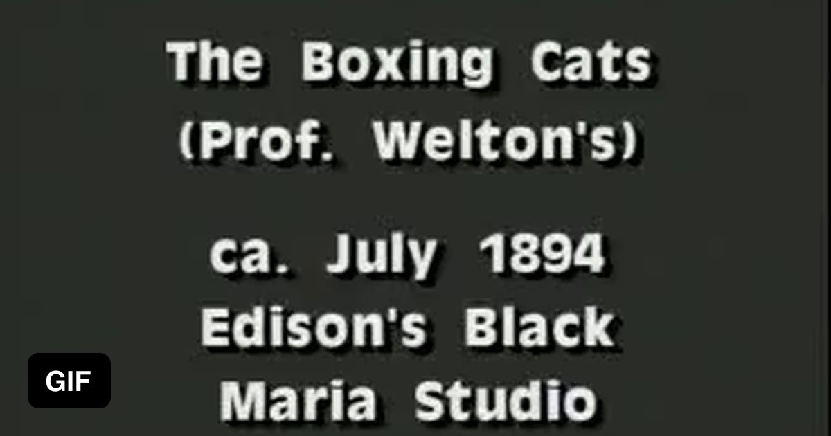 First ever cat video "Boxing Cats", filmed at Edison’s Black Maria ...