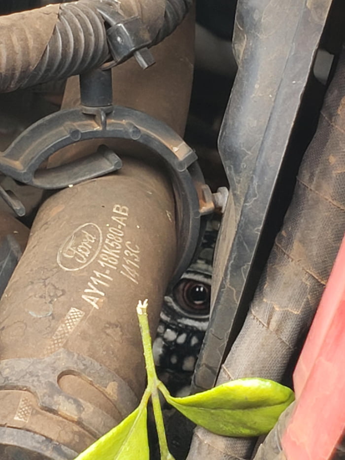 Engine trouble - 9GAG