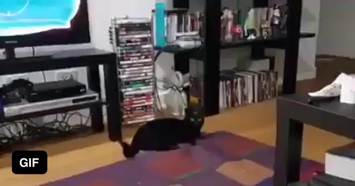 Void zoomies - 9GAG
