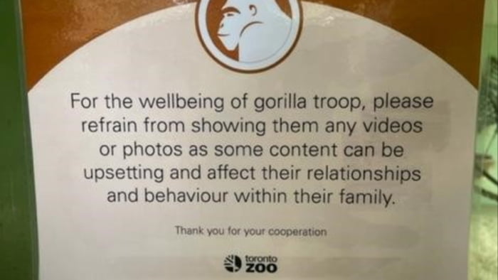 Toronto Zoo's gorilla enclosure. - 9GAG