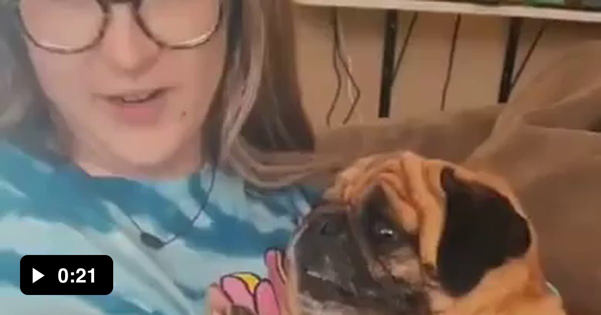 Screaming dog - 9GAG