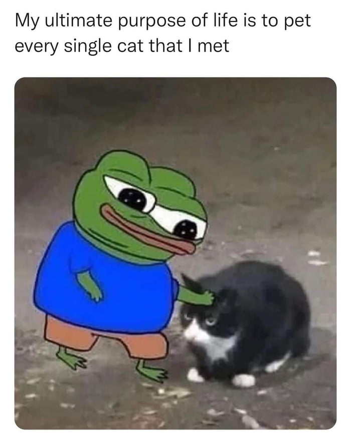 Gotta pet the cat - 9GAG