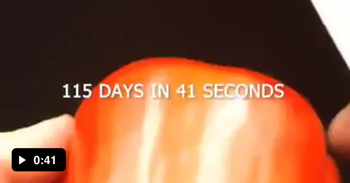 Nature is just so freaking gorgeous. - 9GAG