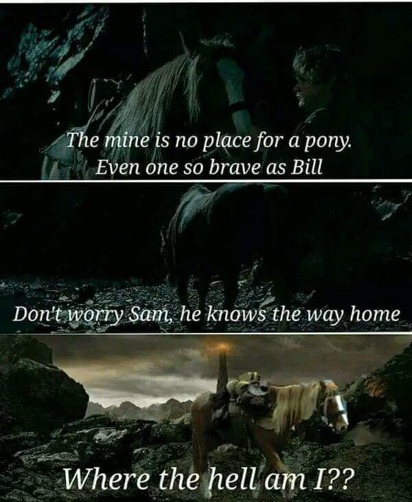 Poor old Bill - 9GAG