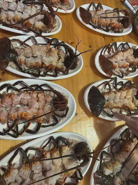 The way they eat bugs at the WEF. - 9GAG