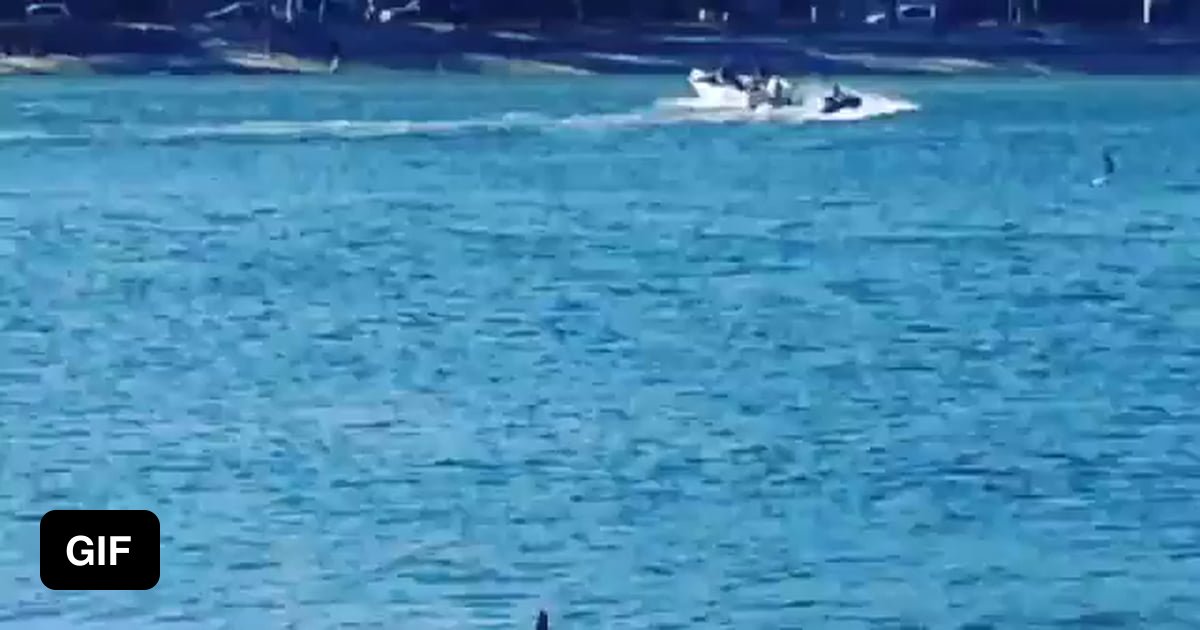Aussie guy spotted throwing a snake around while drinking beer in the ...