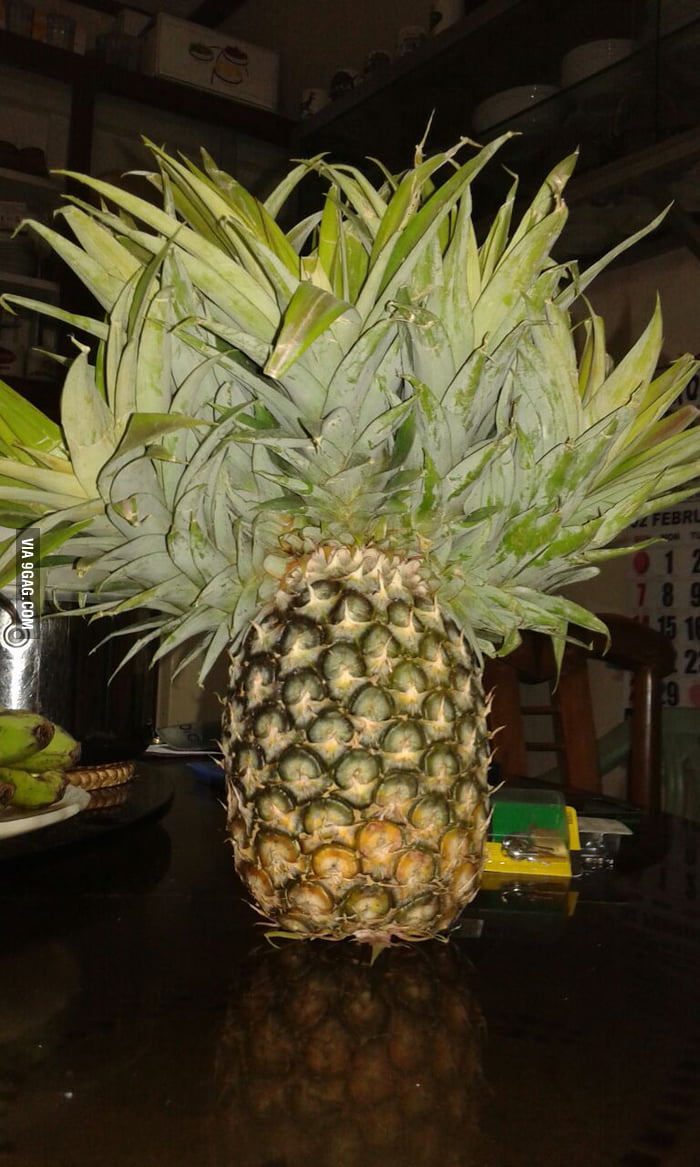 Super Saiyan Pineapple - 9GAG