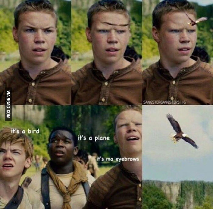 When you smell so bad that Your eyebrows fly away - 9GAG